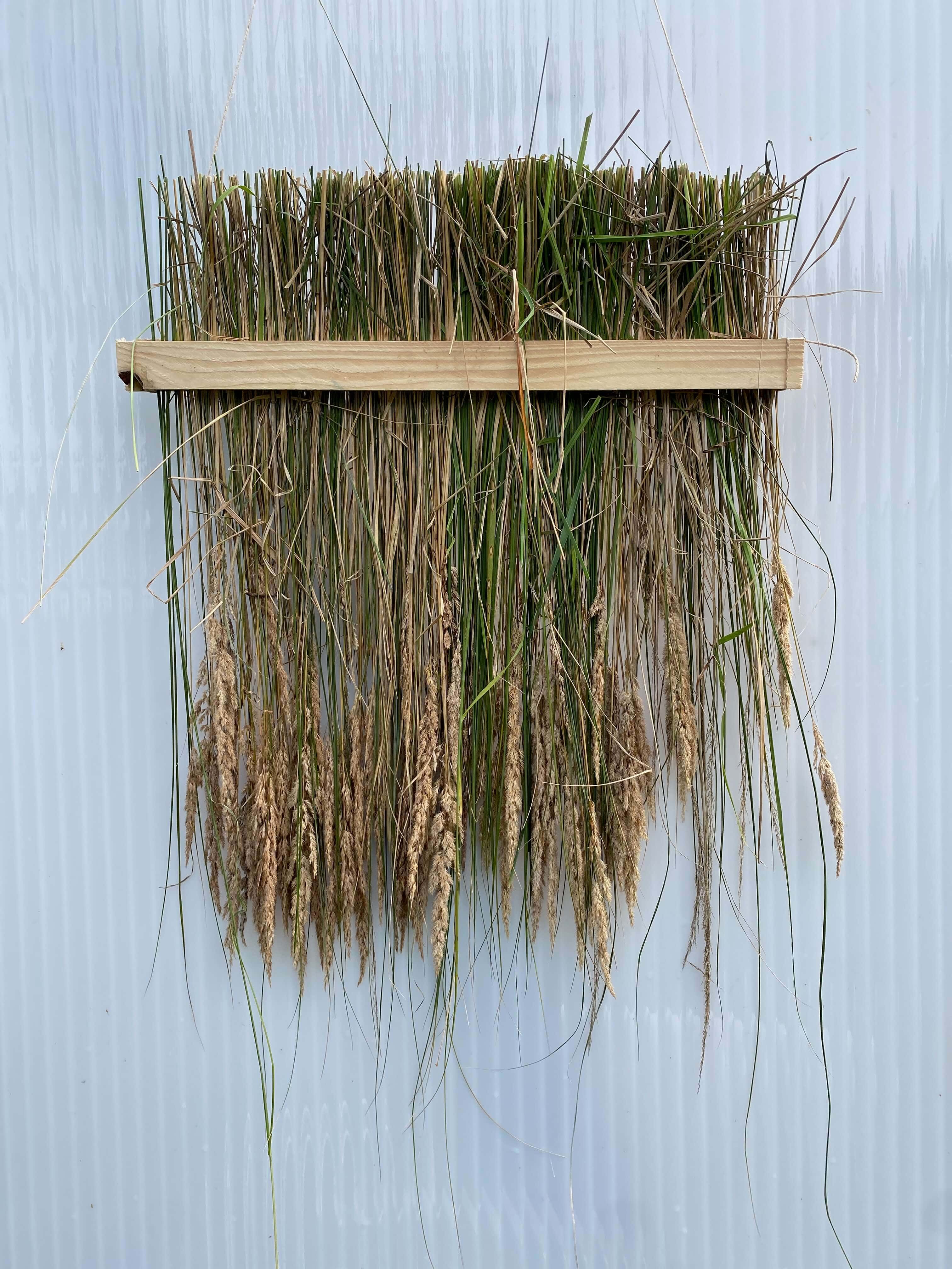 Susanne Brorson: Experimental House, Rügen - PIONIRA